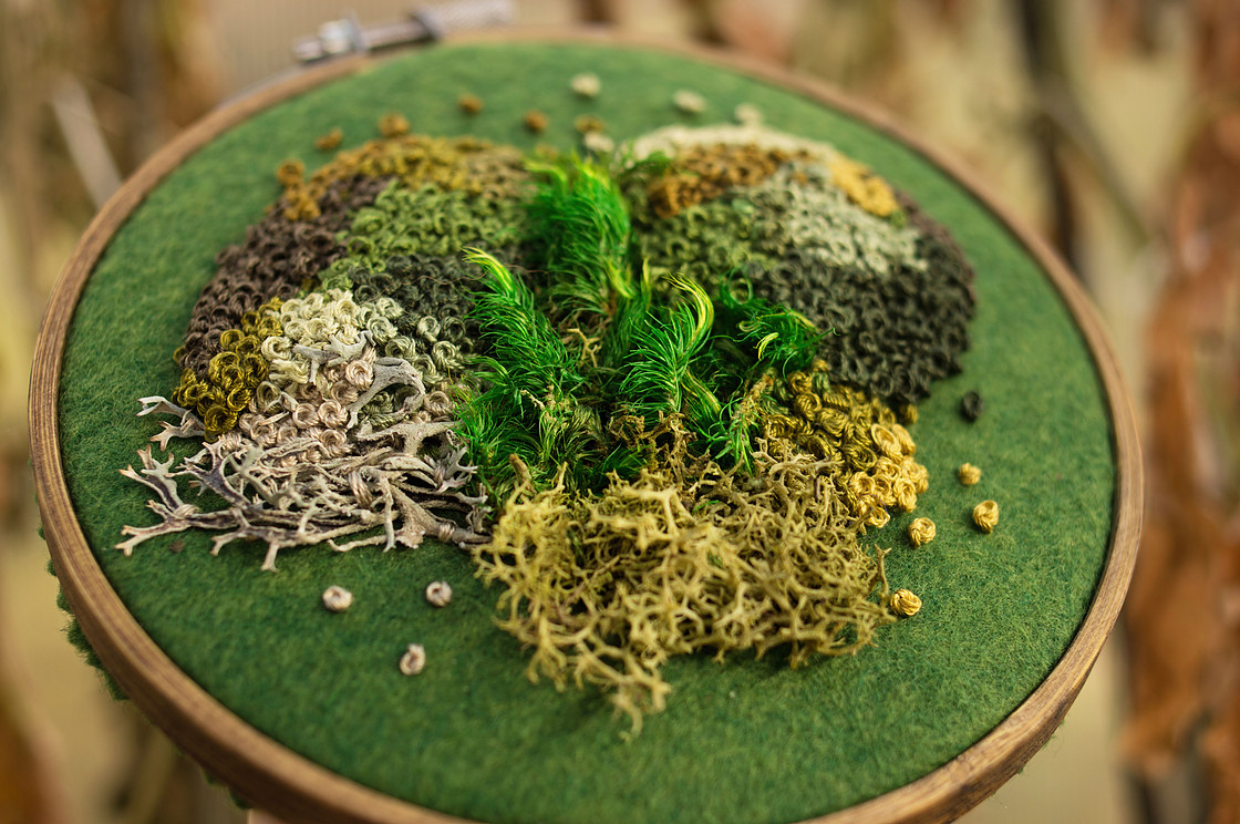 El blog de Dmc: Musgo bordado