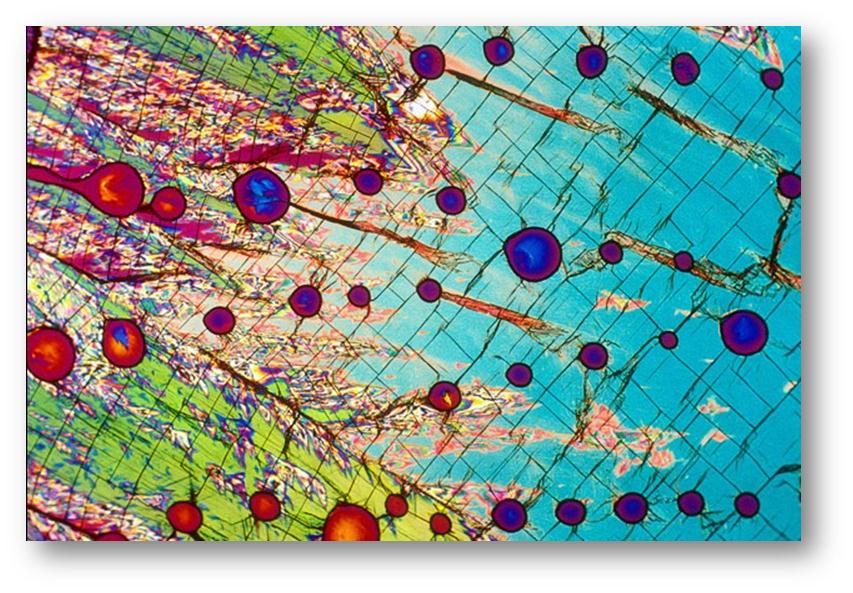How are alcoholic beverages under a microscope? | Photography