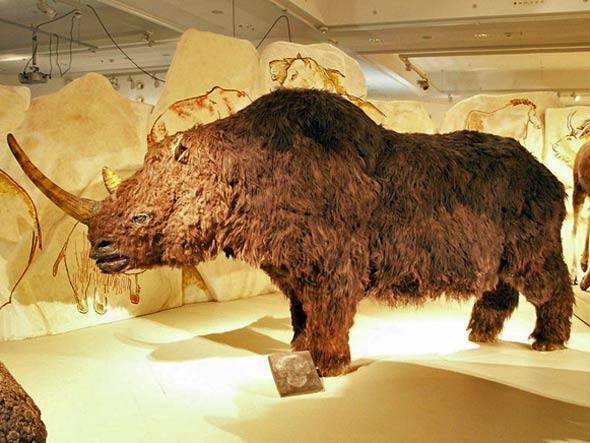 EcoHeads: CONHEÇA 10 ANIMAIS INCRÍVEIS JÁ EXTINTOS.