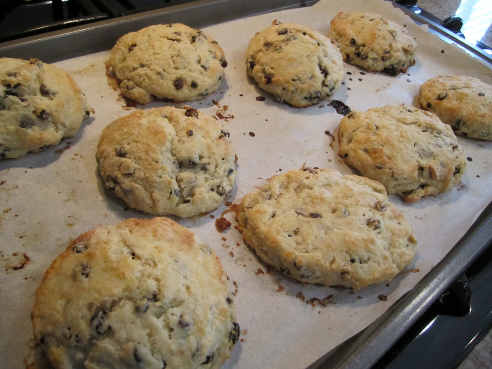 The Norwood Nest: Superb Scones