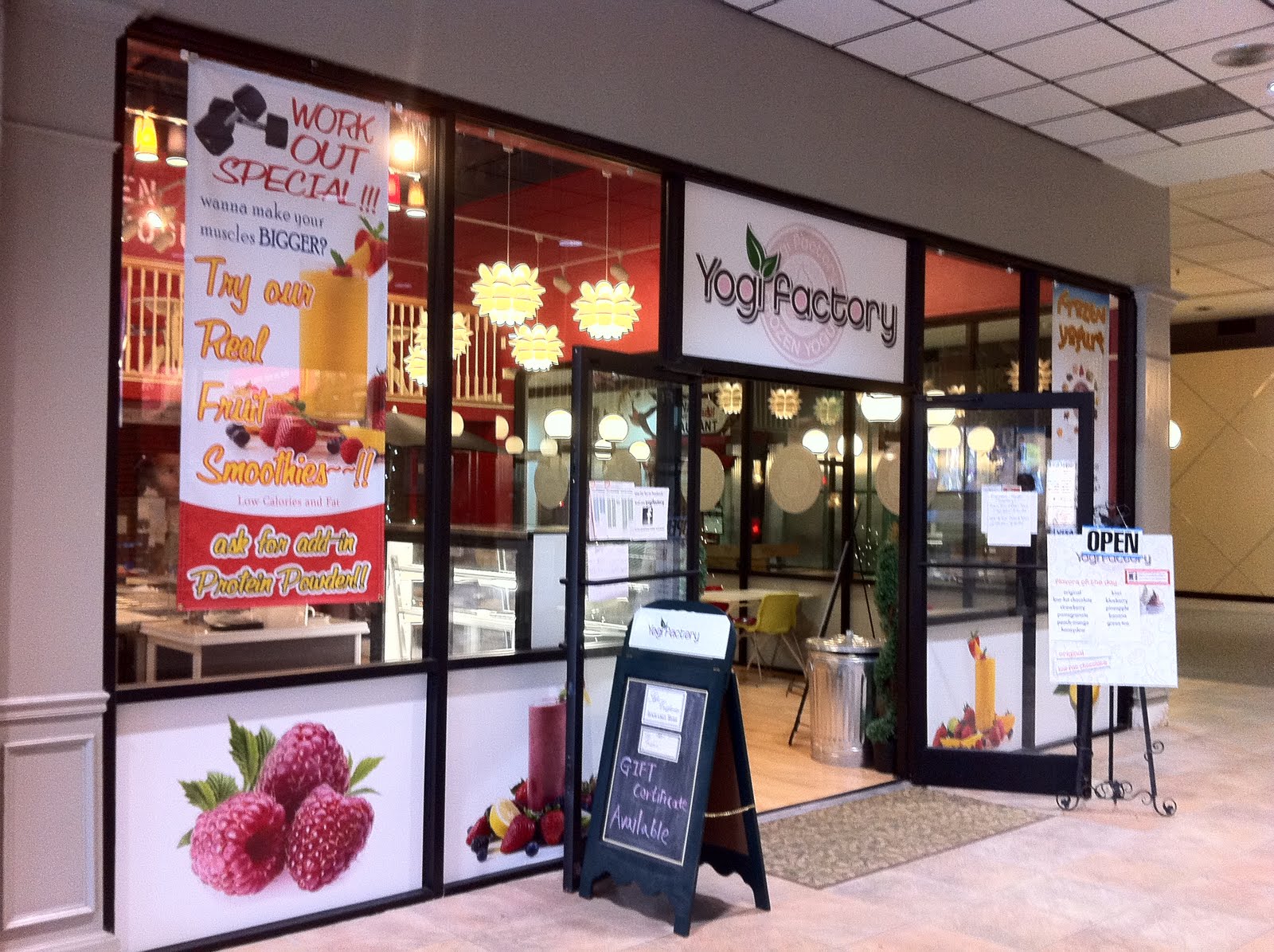 Fro-Yo Girl Speaks: Fro-yo in Southwest Virginia by Guest Blogger Helene K.