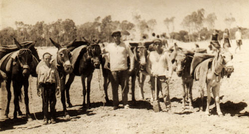 Origen de las expresiones: Origen de la expresión "Arrieros somos..."