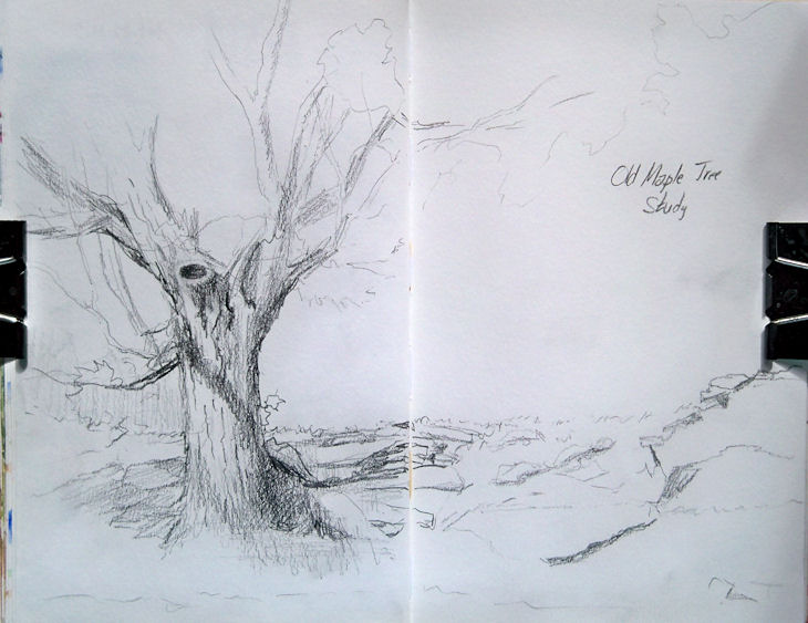 Hudson Valley Sketches - : Study of an Old Maple Tree Trunk