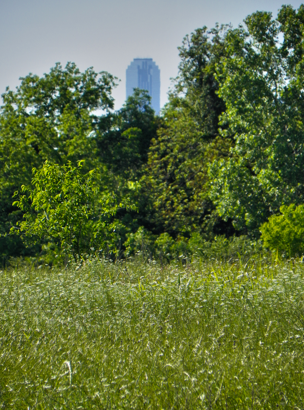 Dallas Trinity Trails: Trinity Forest Golf Course Construction Visible ...