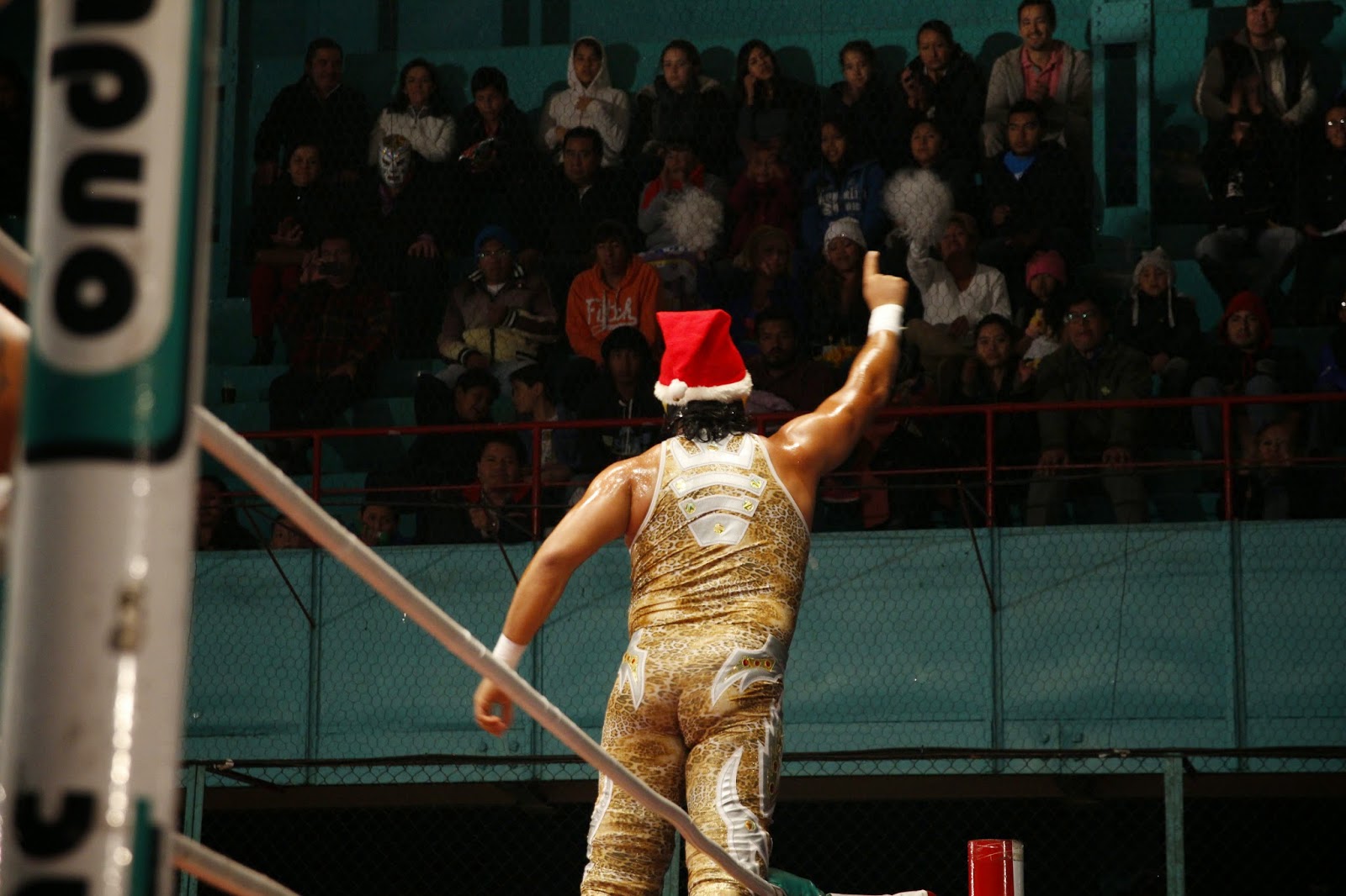 The Gallivanting Grasshopper: Mexican wrestling = Dwarfs, Drag and ...