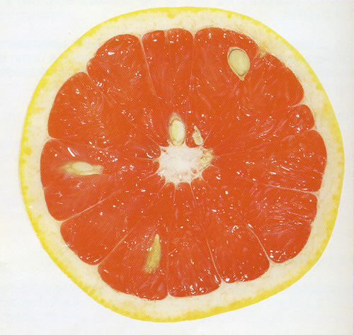 10 MINUTOS CON DIOS: Devocional para niños: el gajo de la mansedumbre