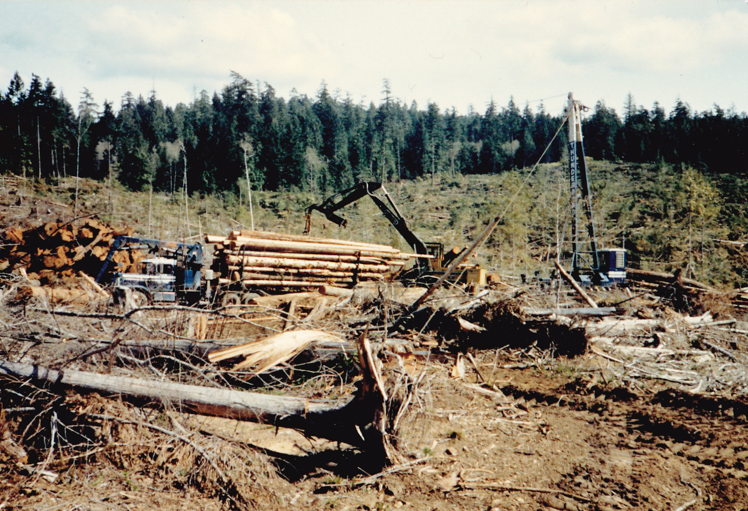 McLaren MP4-12C: Logging