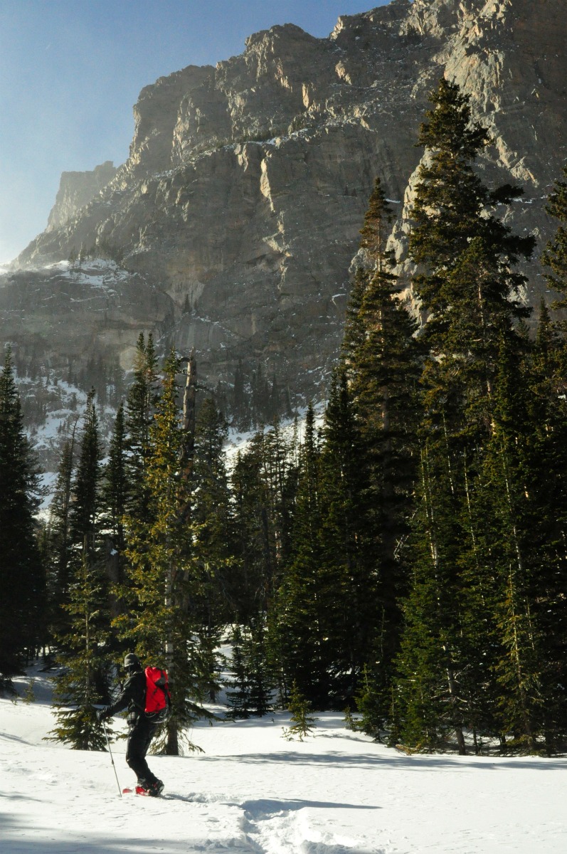 A Tree Falling: Timberline Falls