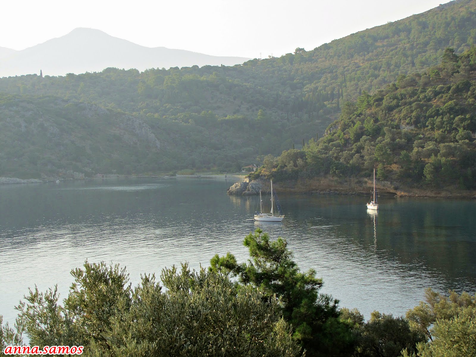 ΣΑΜΟΣ ΤΟ ΝΗΣΙ ΤΟΥ ΠΥΘΑΓΟΡΑ-Η ΚΥΡΑ ΤΩΝ ΑΜΠΕΛΙΩΝ 1: ΚΕΡΒΕΛΗ