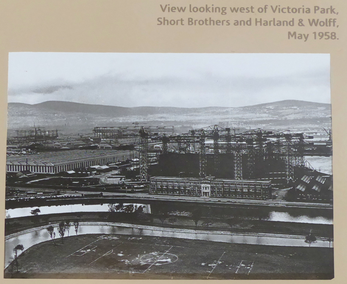 Birding For Pleasure: Victoria Park, Belfast (Part 1)