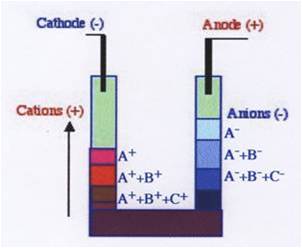 Electrophoresis: Separation of Serum Protein: Discovery of electrophoresis