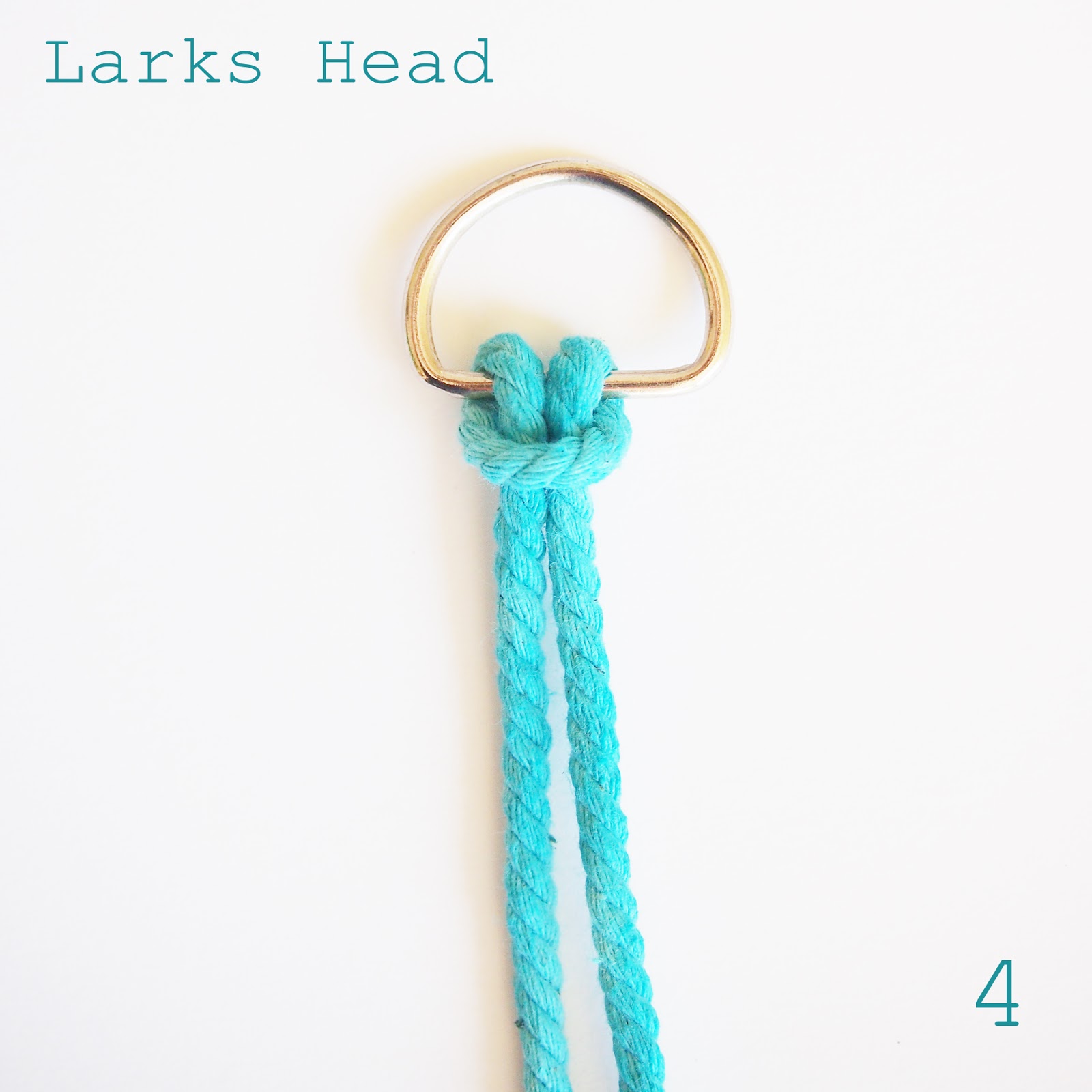 ouch flower: KNOT SCHOOL