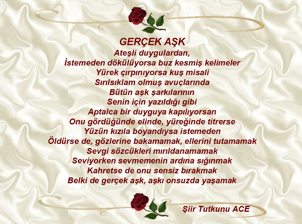 Yaşayan Şiirler Nameler : Gerçek Aşk