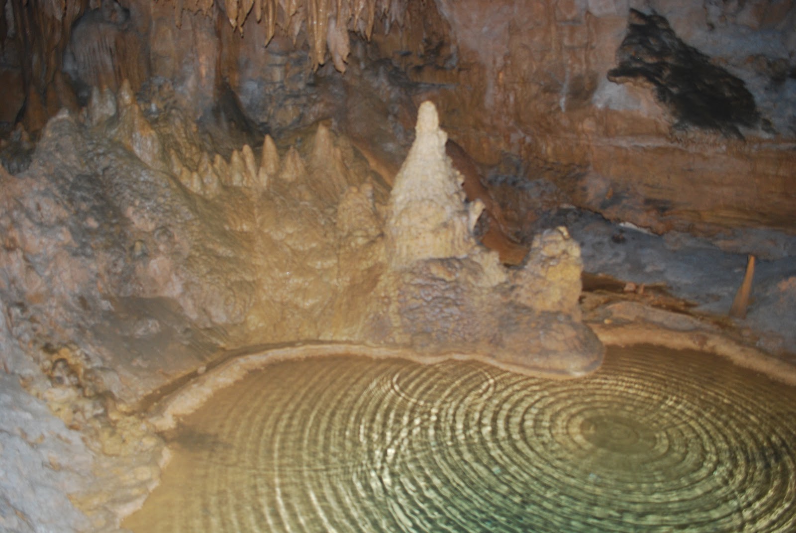 Midwest Family Traveler: Cub Run Cave: Cub Run, Kentucky