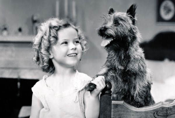 Terrierman's Daily Dose: Hollywood Dog Trainer Carl Spitz