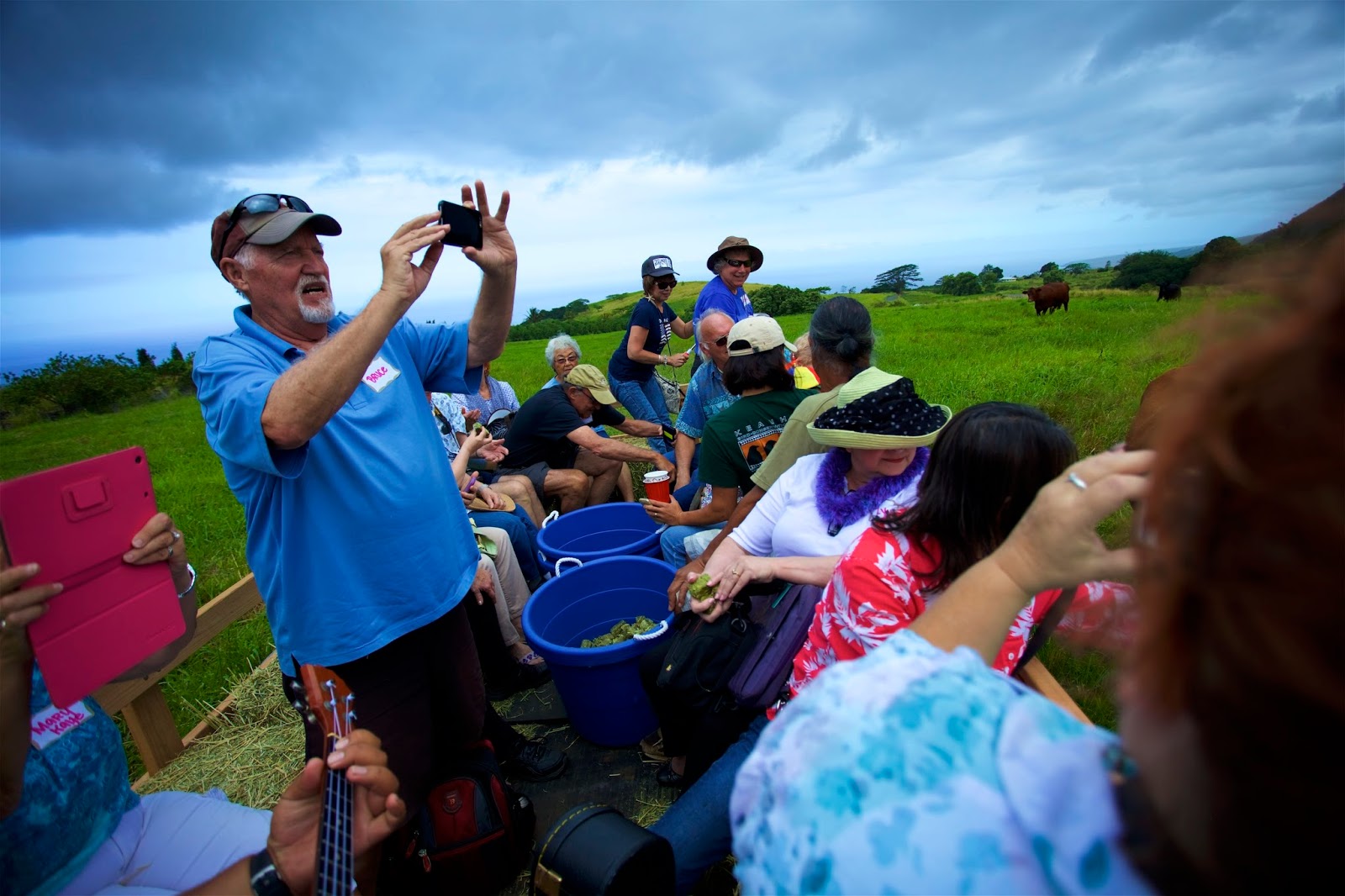 Ka'u Coffee Festival: Hay Bail Rides, Coffee Tours and Ranch Style Eating