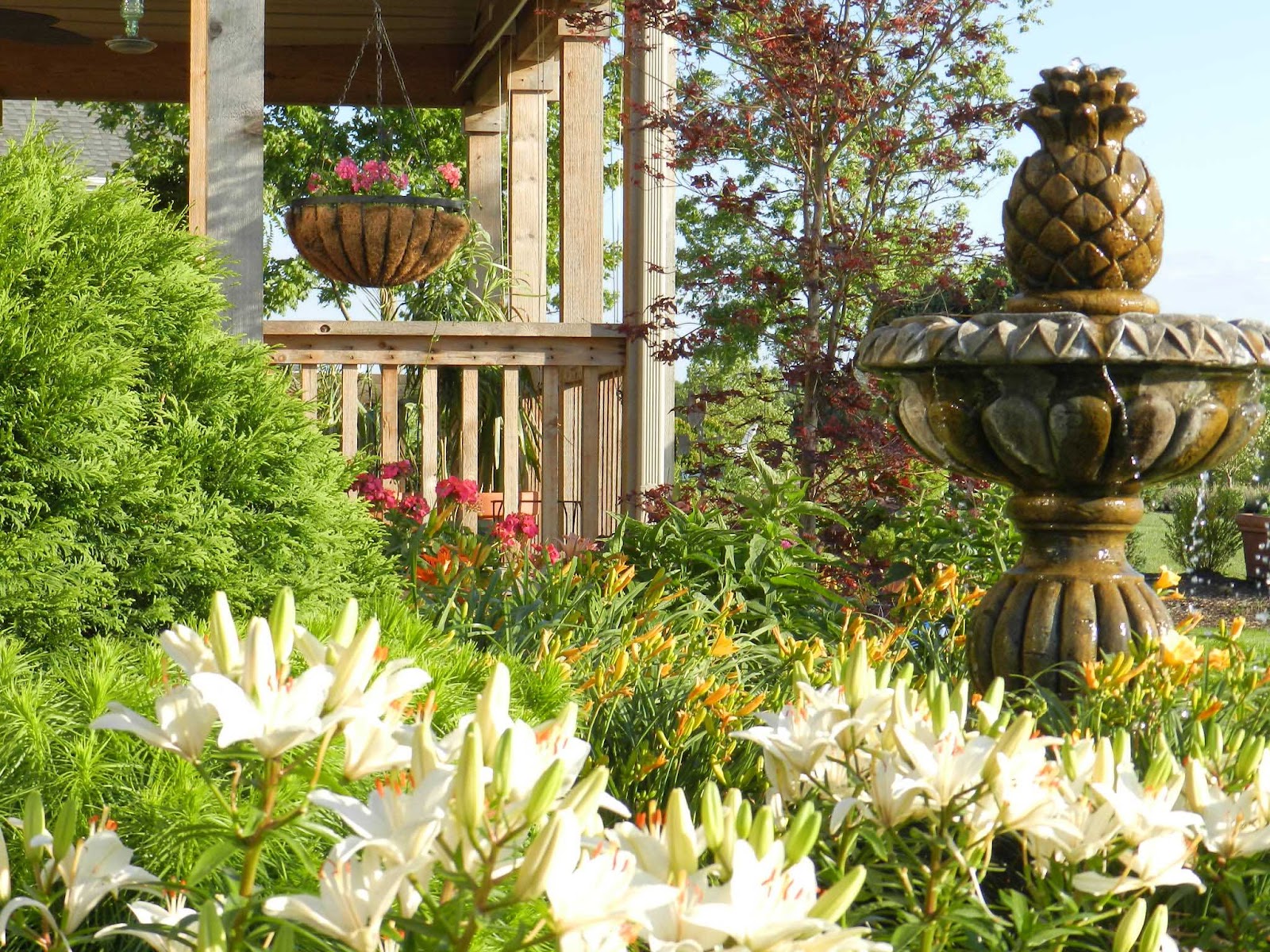 Our French Inspired Home: French Style Landscaping: Plantings at our ...