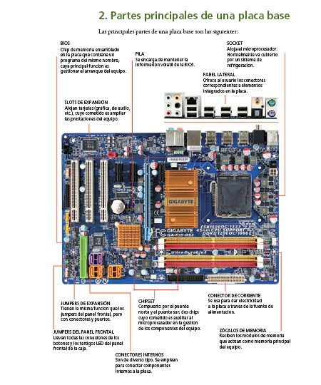 ADMINISTRADOR DE BASE DE DATOS: PLACA BASE Y CONECTORES TRASEROS