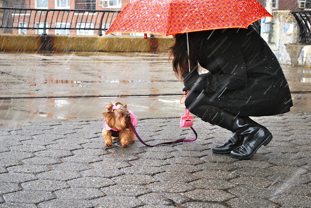 Sisters in the NYC: Fun on a Snowy Saturday