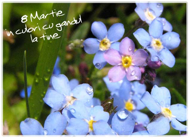 Poze, imagini de 8 martie