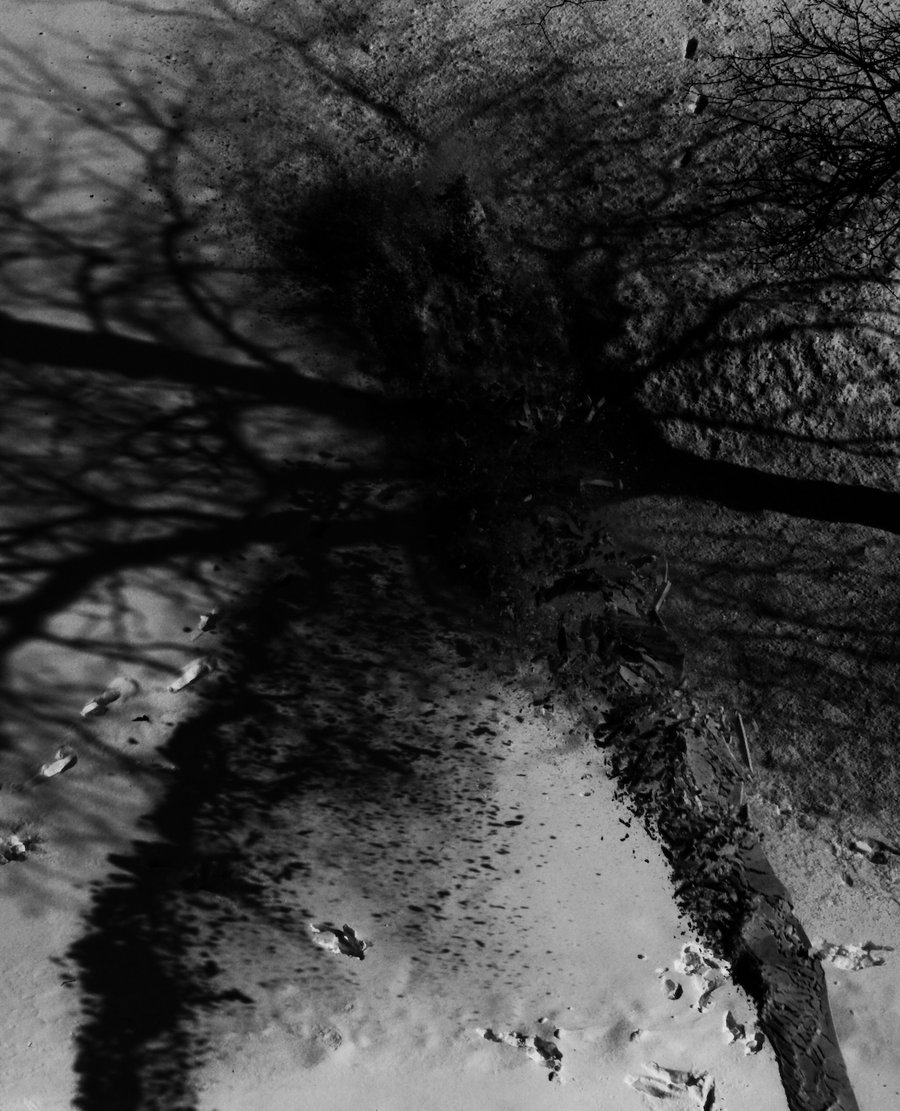 Mind-blowing Paranormal Phantoms--Shadow People!