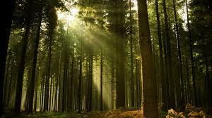 Teoría musical para secundaria: Paisaje sonoro.