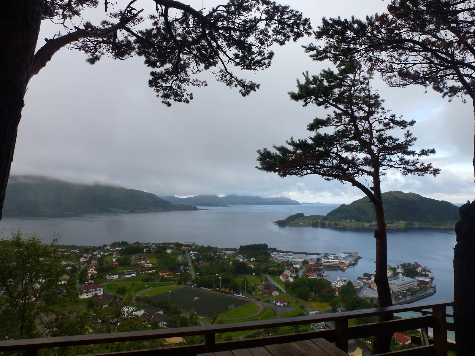 Svalbardliv: Selje og Stadt