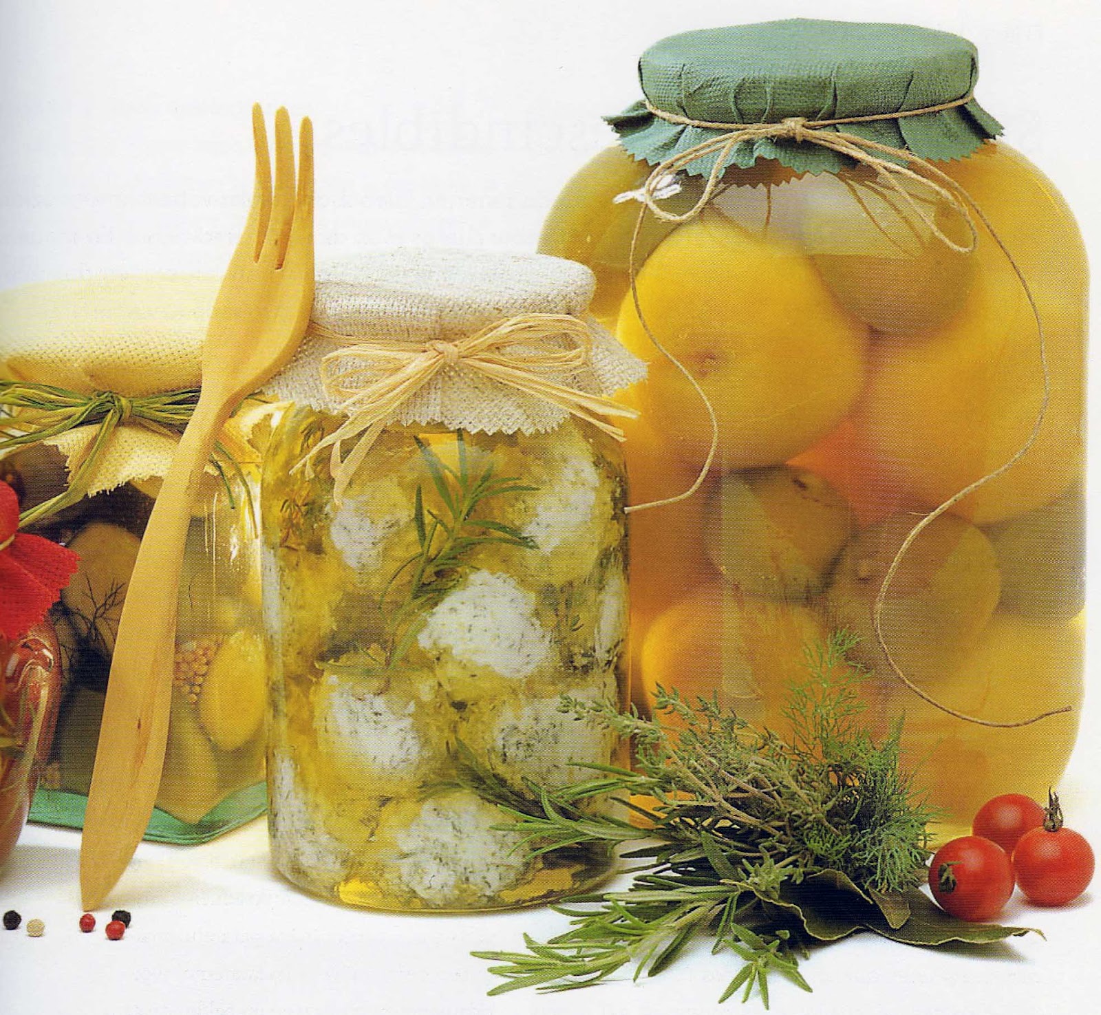 BoDDBo: CONSERVAS: CONSEJOS PRÁCTICOS