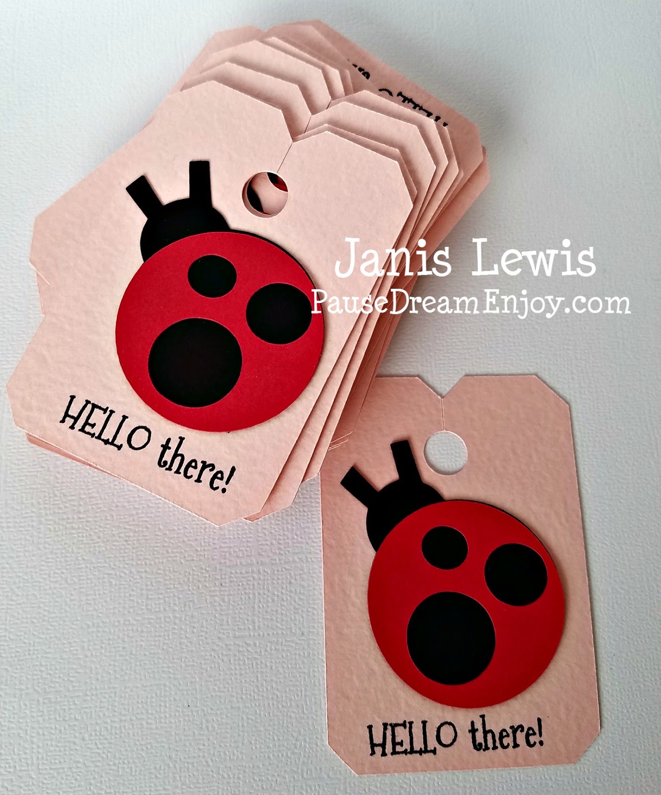 Pause Dream Enjoy: Cricut Hello There Ladybug Tags