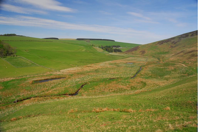 Scotland's Moorland Forum: Land Use Strategy - Borders Pilot