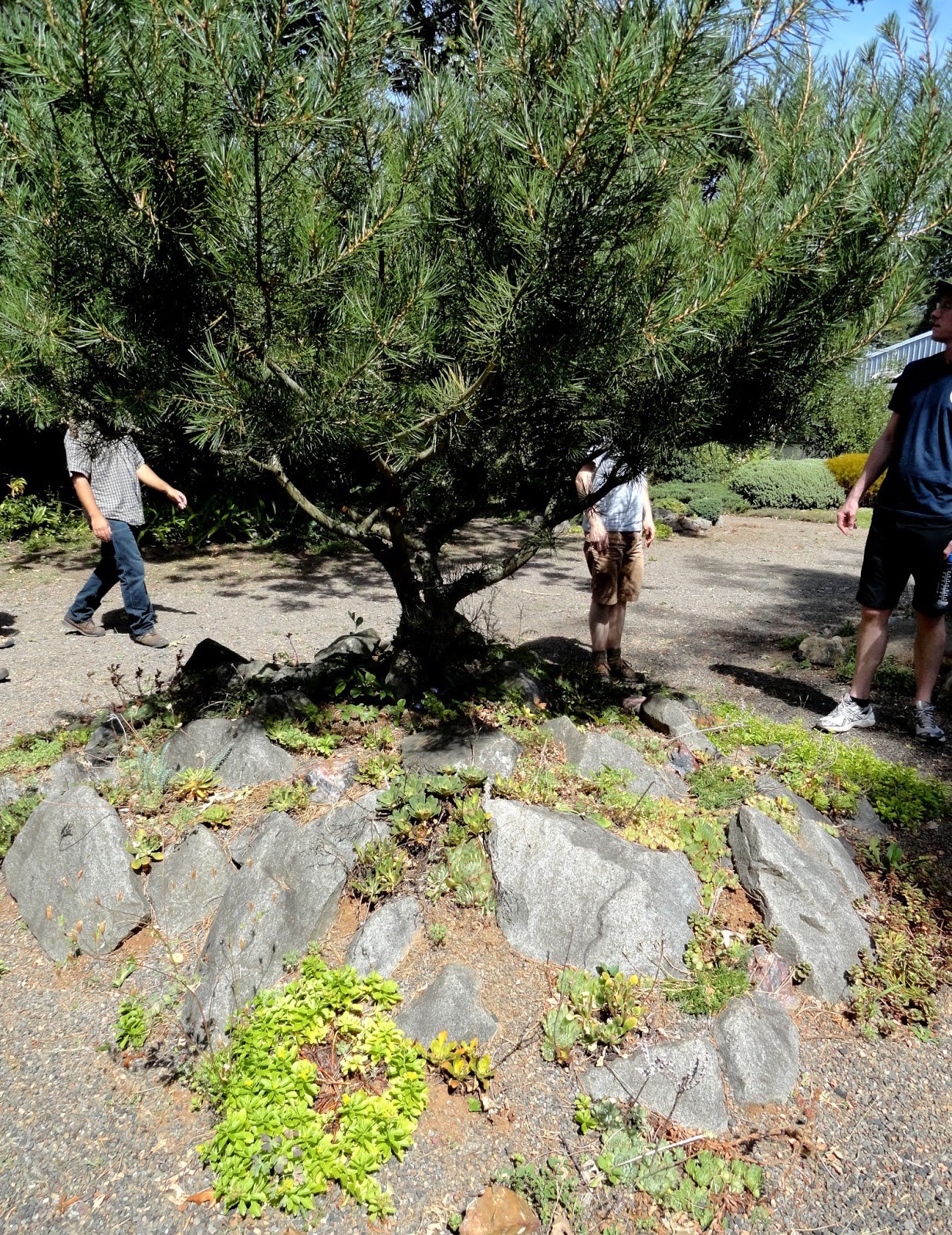 danger garden: Visiting Wild Ginger Farm