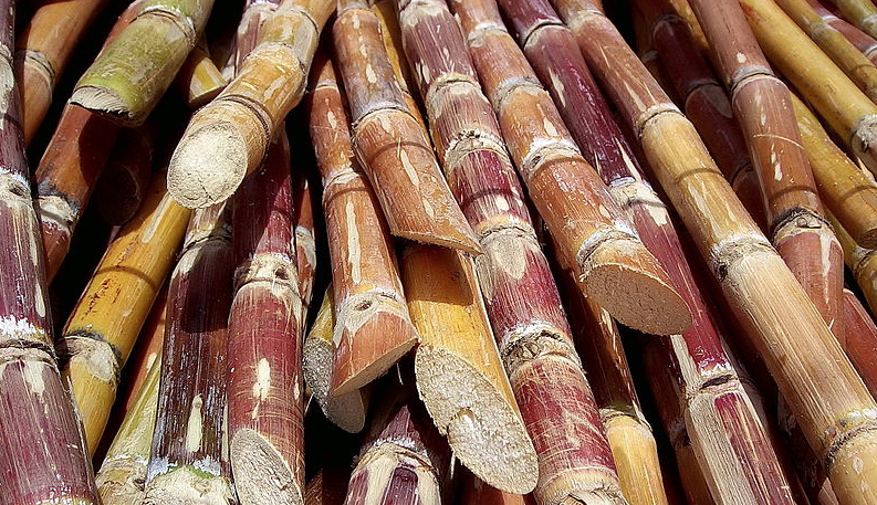 La Industria azucarera: sus inicios y sus logros: La Industria ...