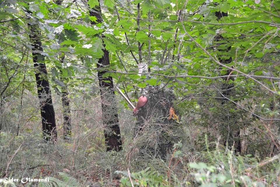 Txirpial: BASAJAUNAREKIN TOPAKETA / ENCUENTRO CON BASAJAUN