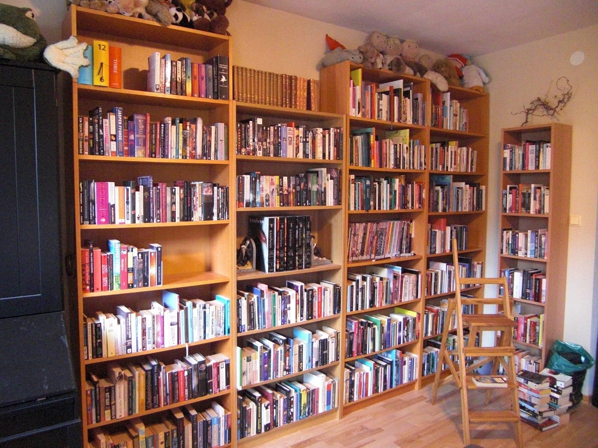 The Asymmetric Library: Aesthetically combined with ordered chaos