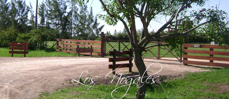 Barrio Los Nogales: Los Lotes