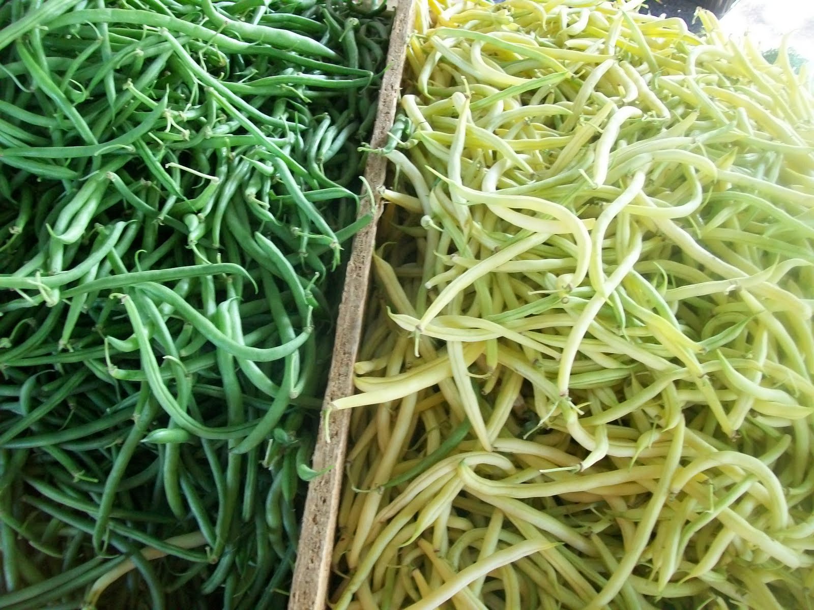 Michigan Cottage Cook: ORIENTAL GREEN BEAN SALAD