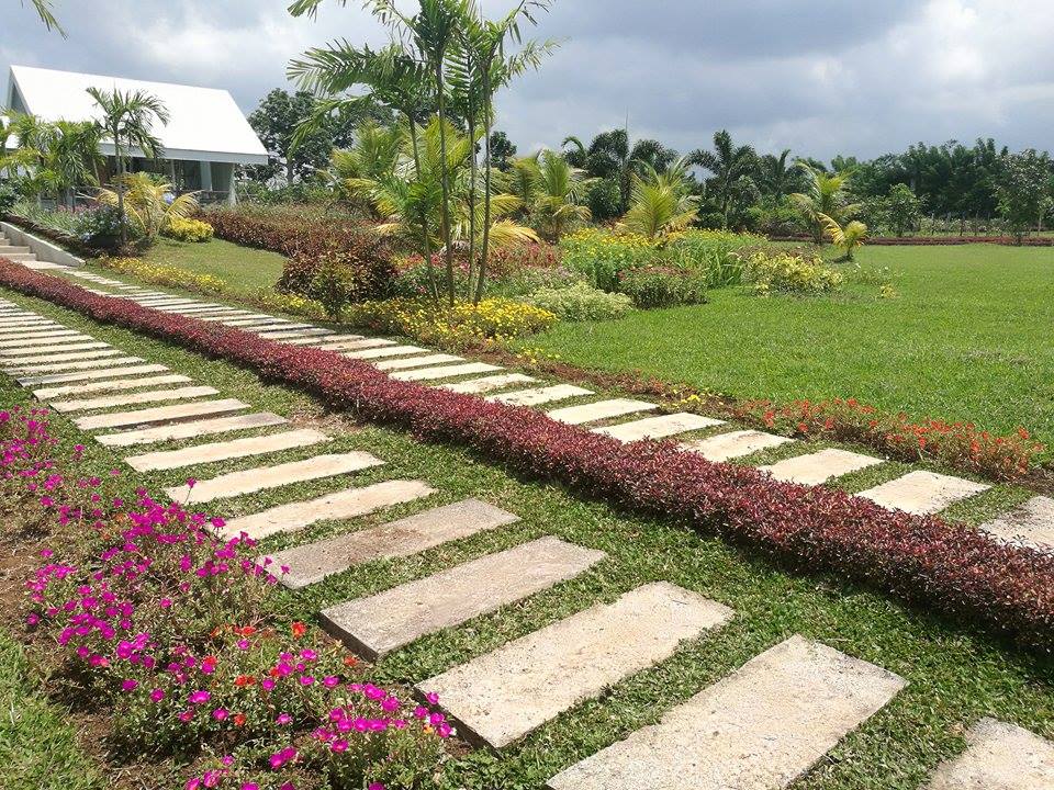 Lemon GreenTea: Day 1: Sonrisa Farm, Cam Sur