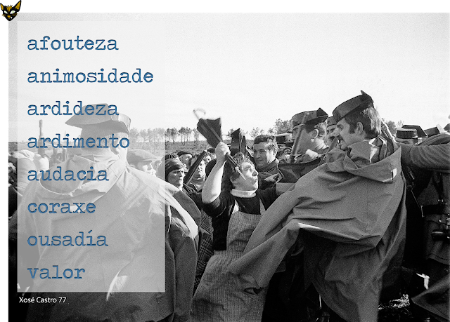 Zarampagalegando: Dicionario visual. Afouteza