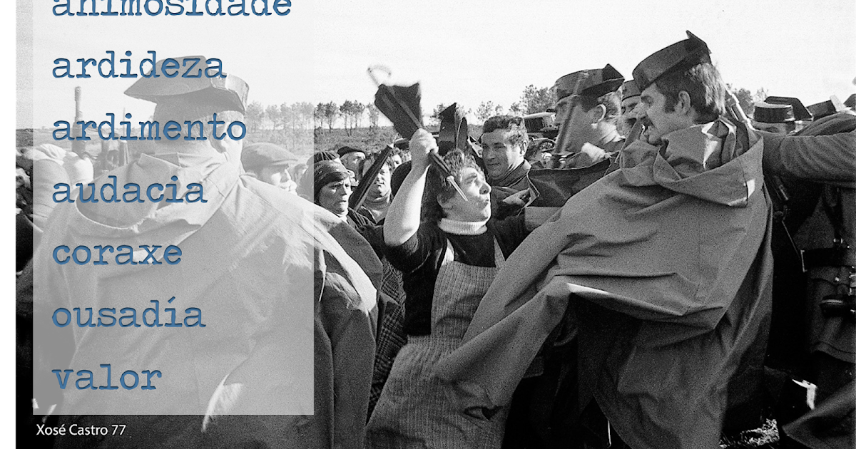 Zarampagalegando: Dicionario visual. Afouteza