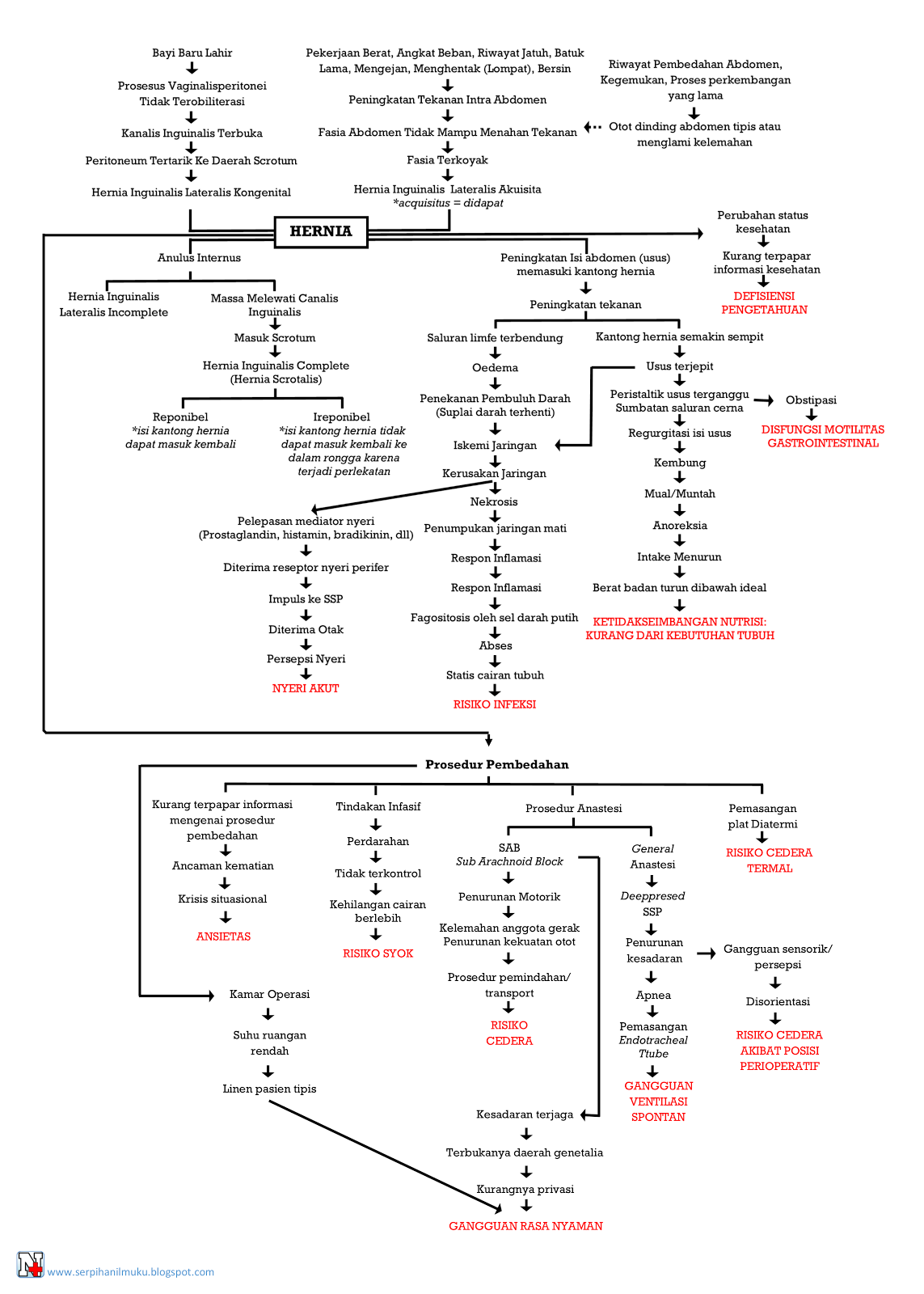 Pathway Hernia dan Prosedur Operasi
