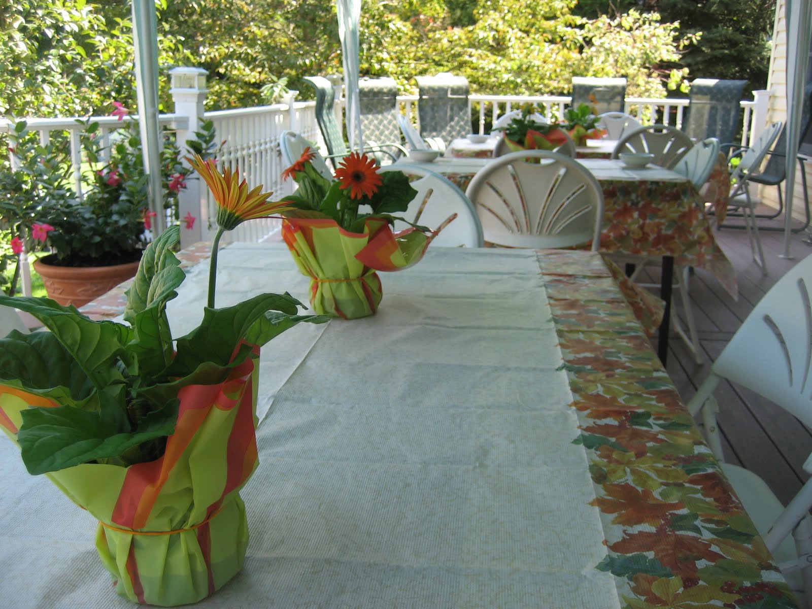 hello bluebird, bye bye blackbird: Kevin Bacon Themed Bridal Shower