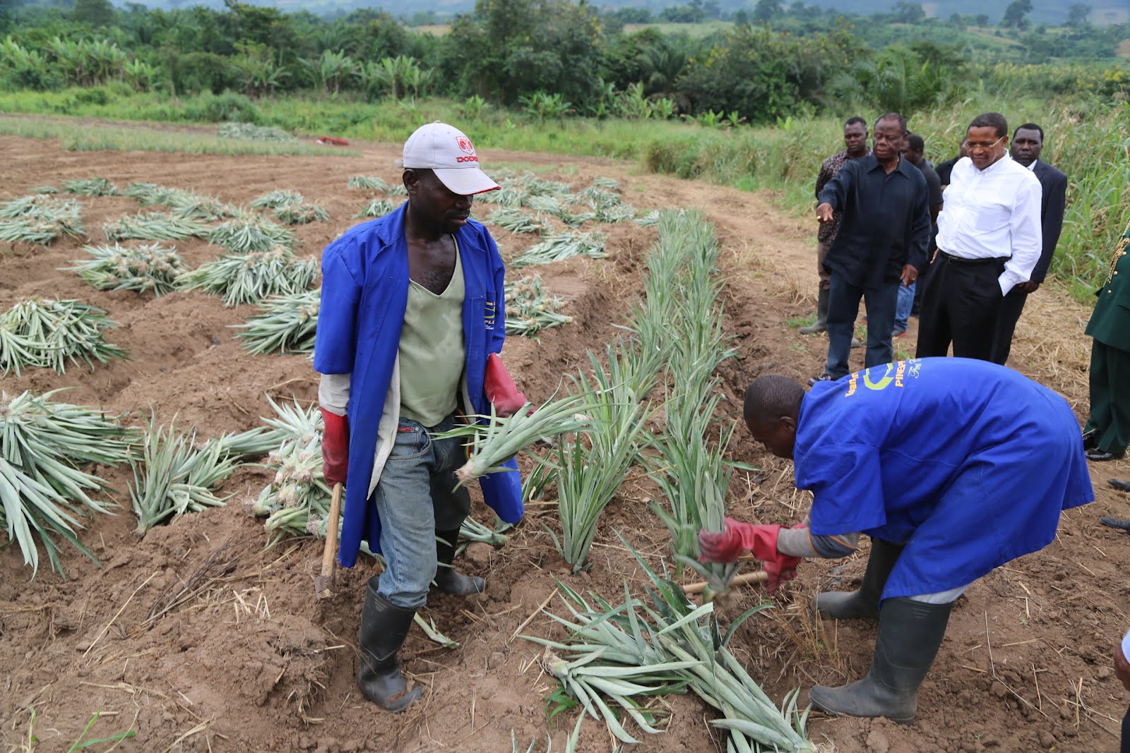 Rais aonana na Rais mpya wa Ghana, atembelea mashamba ya mananasi ...