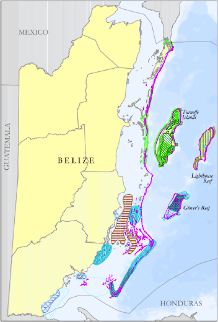 The Belize Barrier Reef System!