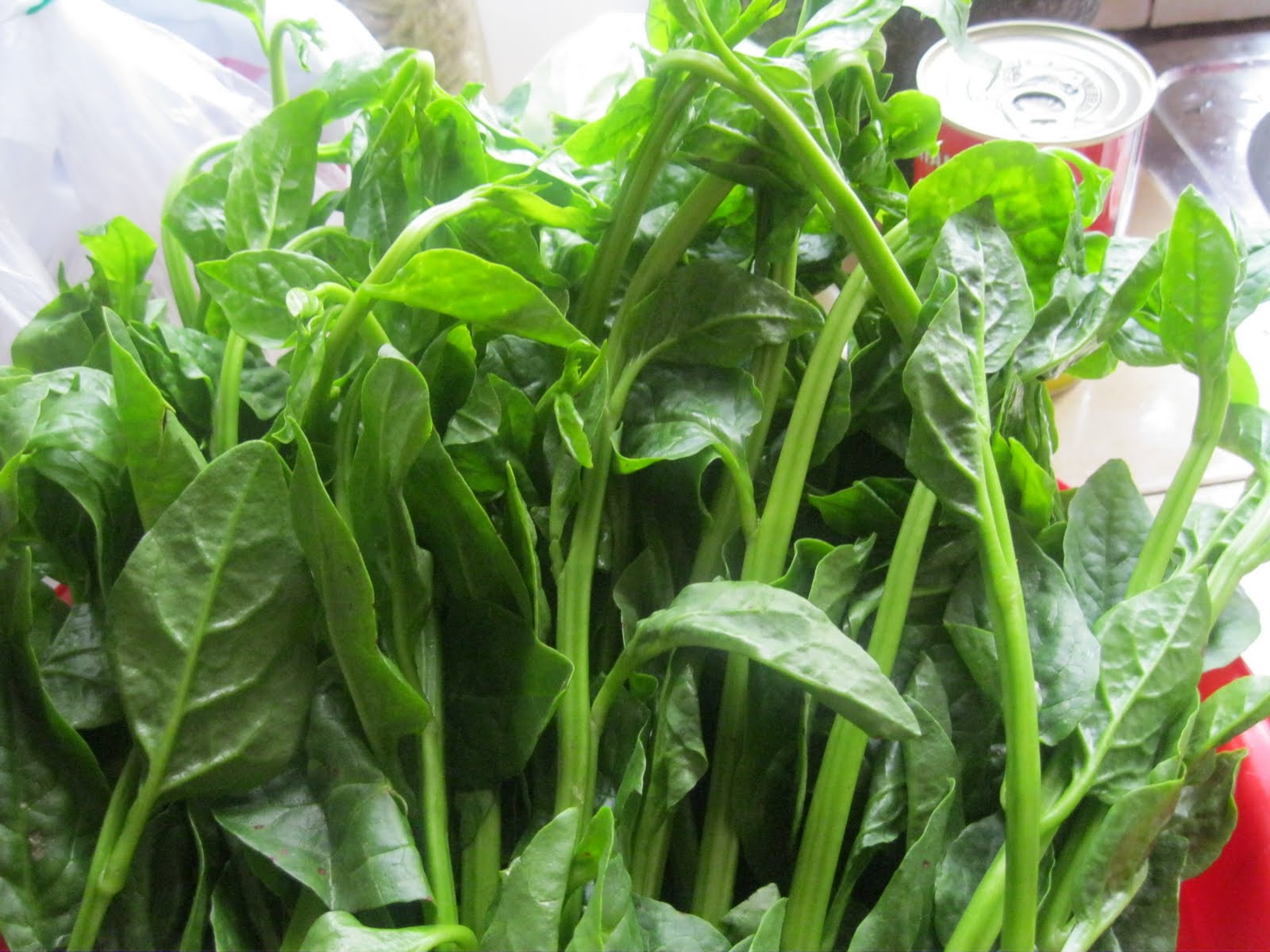 Cara Mengatasi Susah Buang Air Besar