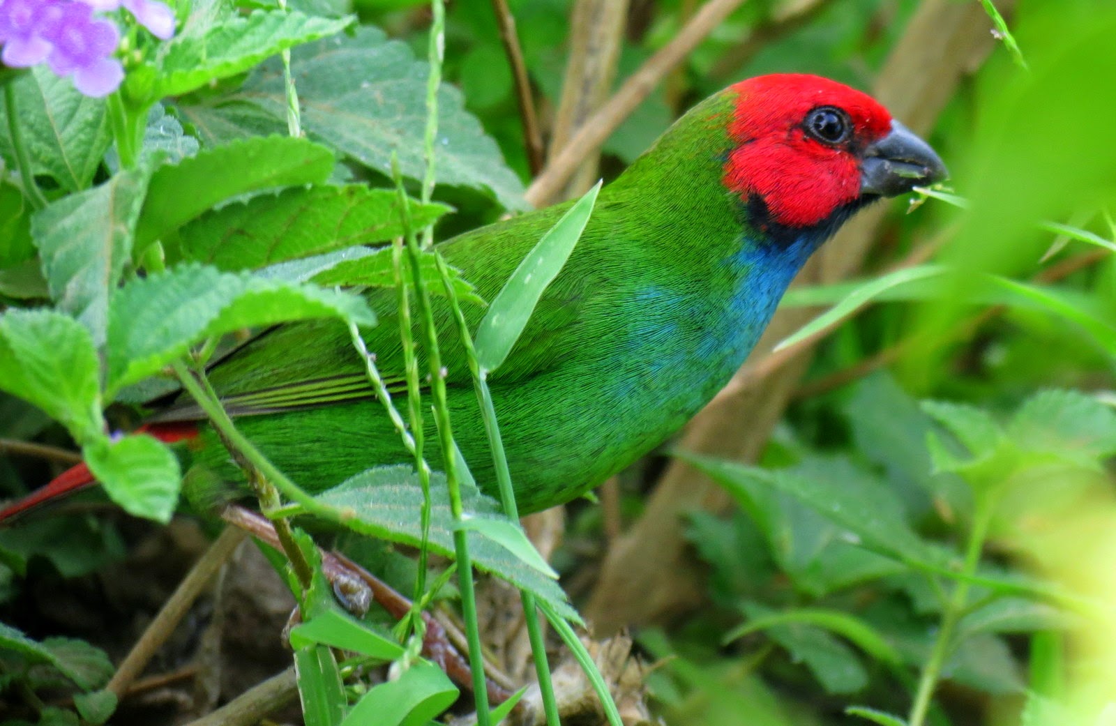 Beth's Blog: May 2014