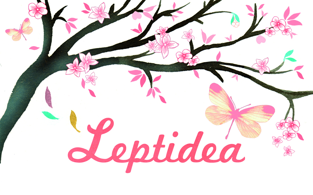 Leptidea - Complementos handmade artesanía diseñadores: noviembre 2012