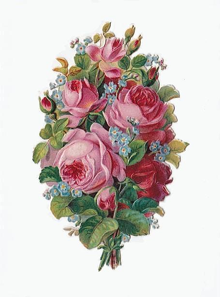 bumble button: Gorgeous Victorian Rose clipart. Perfect for labels ...