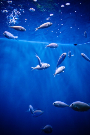 Mel's Mouthful on Mothering: February 2012