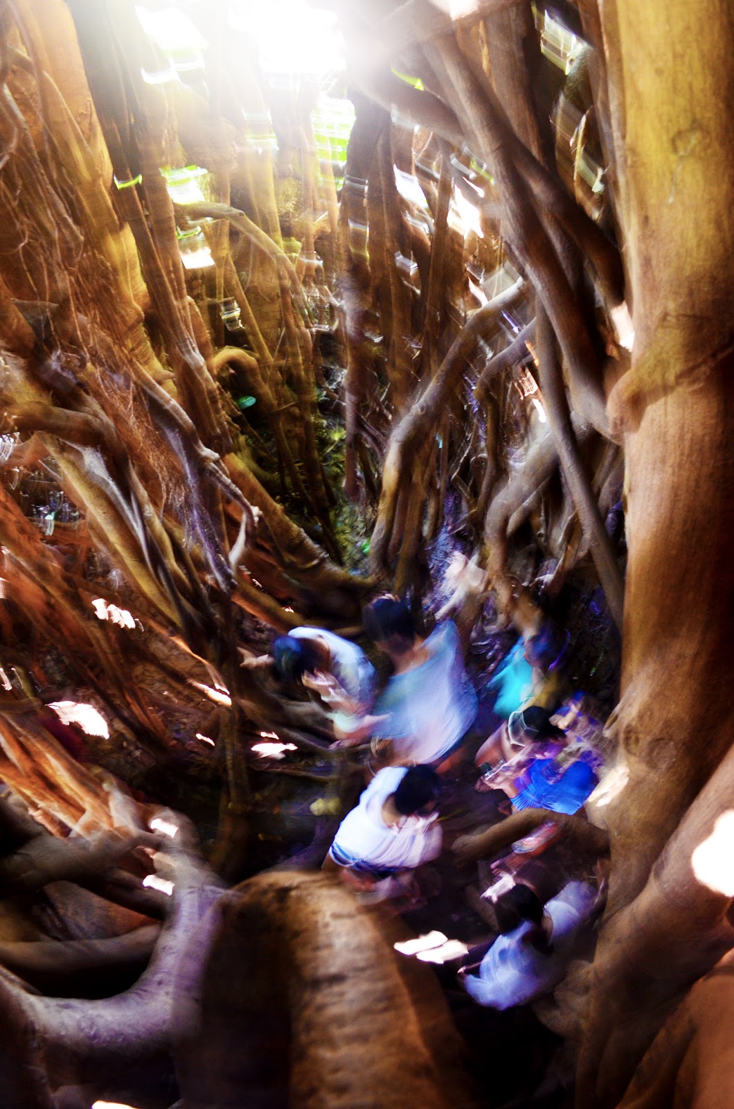 H E L L O ♥ K I M M Y : Millennium Tree - Old Balete Tree Of Aurora