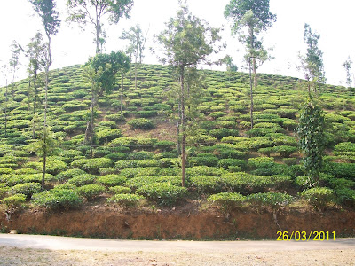 Travel Through Kerala: Kuruva Island: Wayanad (Kerala) is rising in the ...